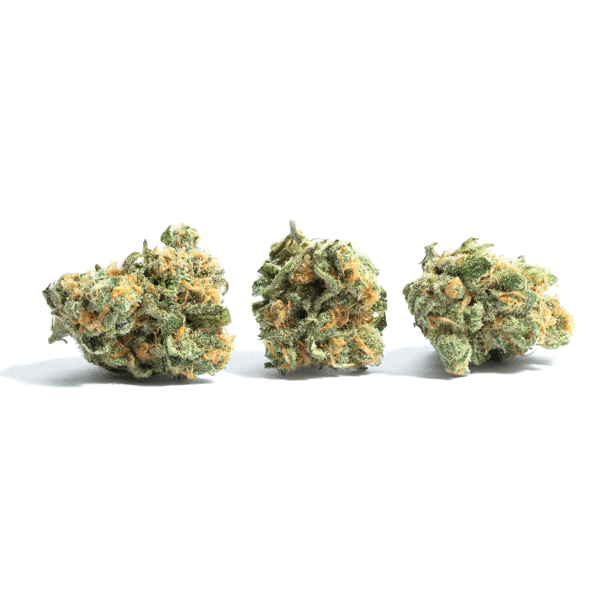 The Top Five Humulene Cannabis Strains in 2023 - The Buzz Guide