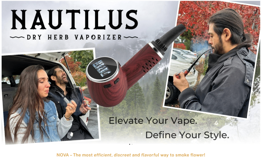 Electronic Pipes for Cannabis: A Comprehensive Guide - The Buzz Guide